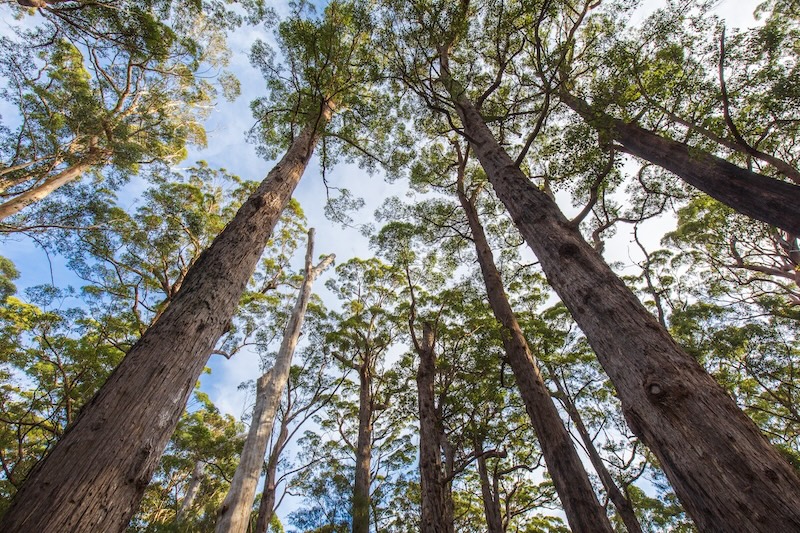 Muru Mittigar - Proud Dharug Aboriginal Social Enterprise